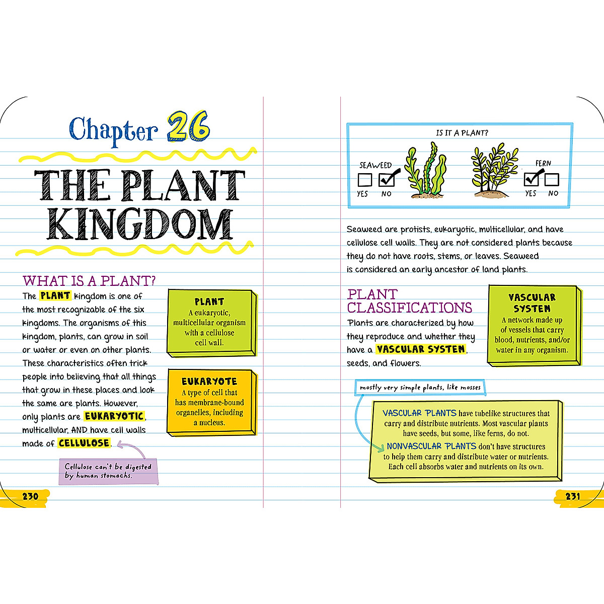 Workman Publishing Company - To Ace Biology in One Big Fat Notebook