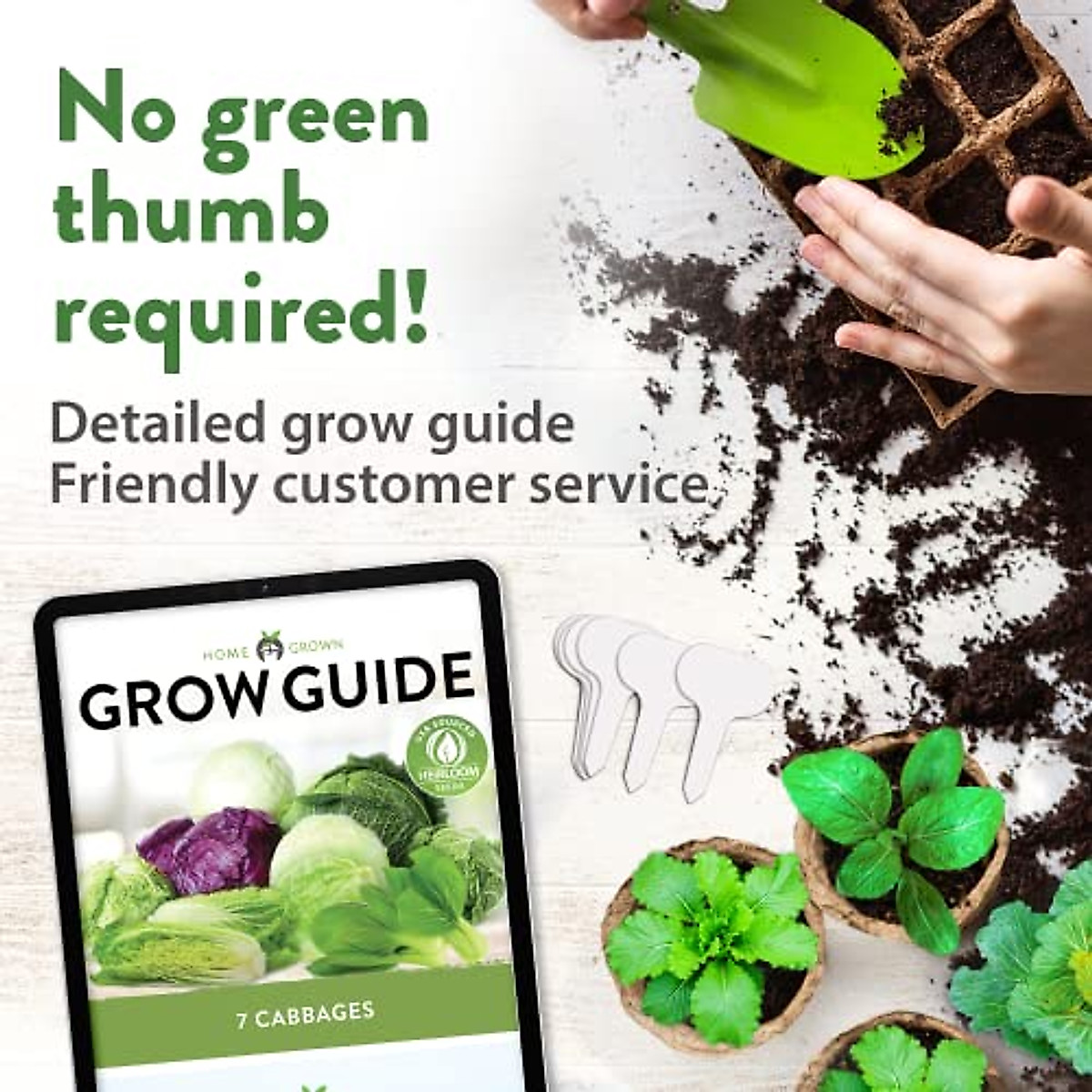 7 Cabbage Seeds for Planting - 2000+ Heirloom & Non-GMO Seeds - Golden Acre, Bok Choy, Savoy, Michihili, Red Acre, Copenhagen Market, Jersey Wakefield Cabbages - Garden Vegetable Lettuce Seeds