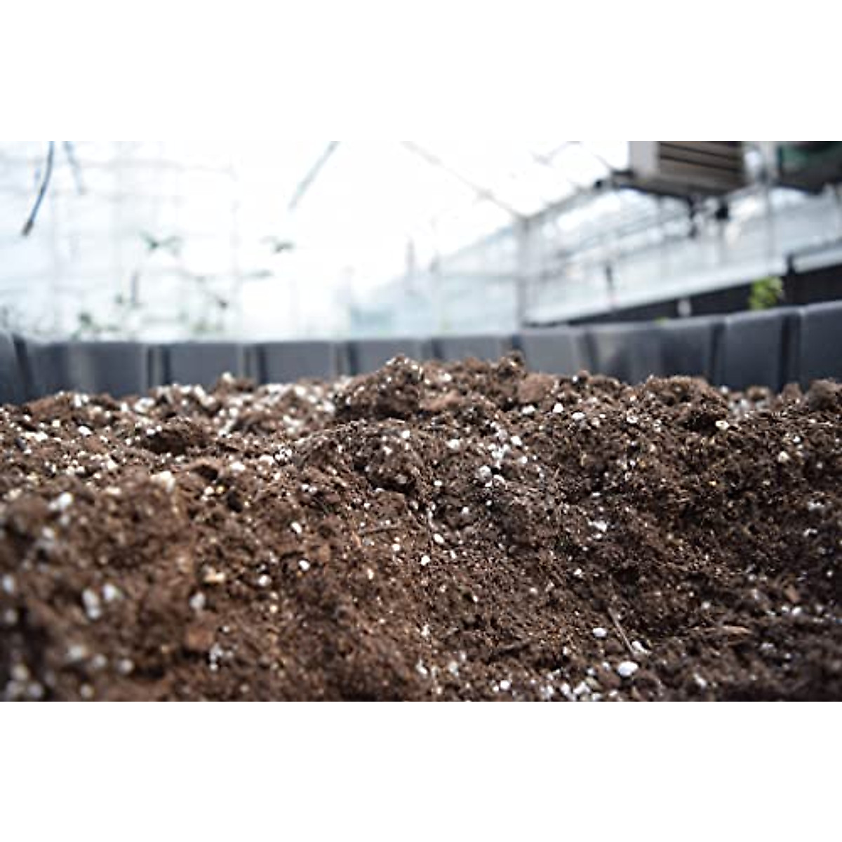 Natural Horticultural Perlite (1 Quart)