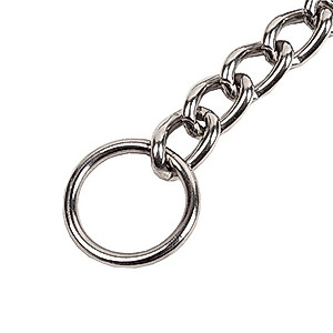 SGODA Chain Dog Training Choke Collar, 22 in, 3 mm
