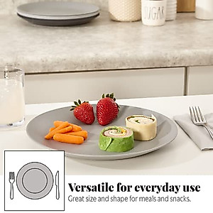 US Acrylic Everest Ultra-Durable Plastic 10 inch Dinner Plates in Grey Stone | set of 6 Reusable, BPA-Free, Made in the USA, Dishwasher Safe Dinnerware
