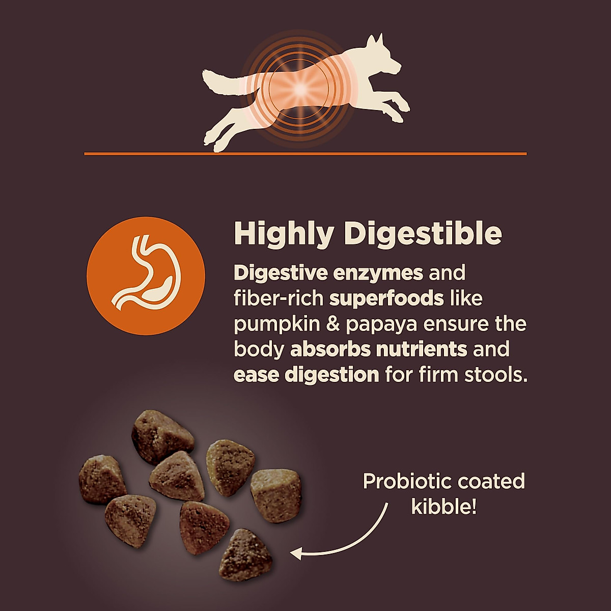 Wellness CORE Digestive Health Dry Dog Food with Wholesome Grains, Highly Digestible, for Dogs with Sensitive Stomachs, Made in USA with Real Chicken (Adult, 4-Pound Bag)