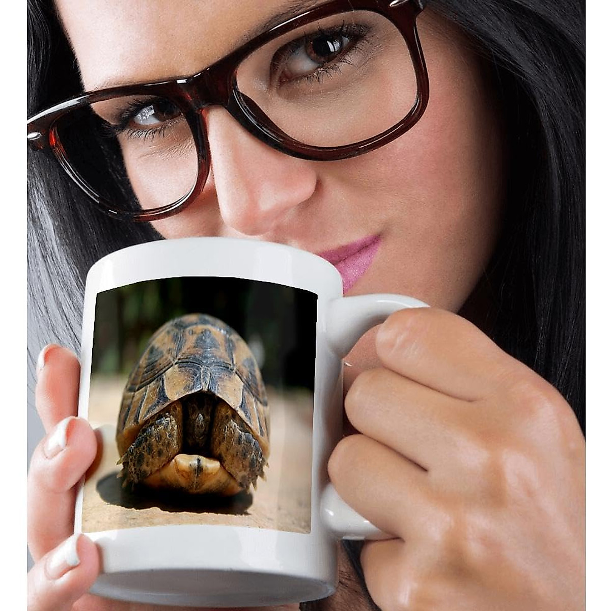 3dRose Land Turtle Shell Young Spur-Thighed Tortoise Hiding In Carapace Ceramic Mug, 11 oz, White