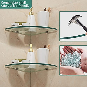 WAKLOND Bathroom Shelves, 2-Tier Bathroom Glass Corner Shelf Wall Mounted ,Tempered Glass Shelf for Storing Seasoning Bottle/Brush/Shower Gel/Soap/Shampoo