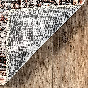 nuLOOM CIA Floral Stain-Resistant Machine Washable Area Rug, 8x10, Pink