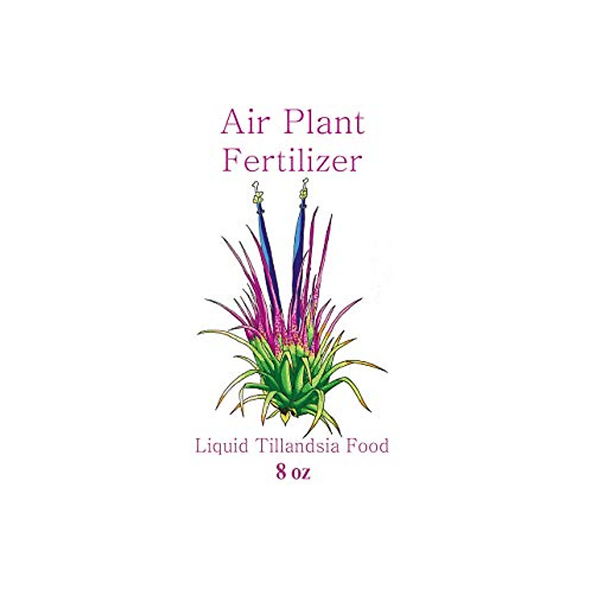 Tillandsia Air Plant Food | Fertilizer Kit with Spray Bottle and Mister | Encourages Air Plants to Bloom with Formulated Nutrients by Aquatic Arts