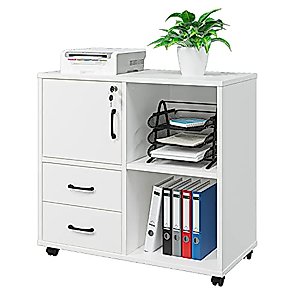 Office Storage Cabinet with 2 Drawers, Modern Rolling Cabinet with 3 Storage Shelves Printer Stand Table with Wheels for Home Office Storage (White)