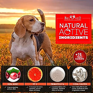 Dog Anti Itch & Allergy Relief Chews - Dry Itchy Skin & Hot Spot Treatment with Probiotic, Omega 3 Oil, Hemp - Immune Supplement & Seasonal Allergies Medicine for Dogs, Puppy - 140 Bites Made in USA