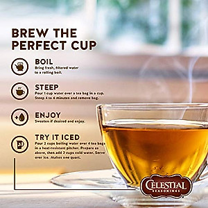 Celestial Seasonings Bengal Spice Tea, 20 Count, 1.7 Oz