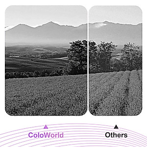 ColoWorld Remanufactured 56 Ink Cartridges Replacement for HP 56 XL 56XL Black Fit for HP OfficeJet 5610 6110 5510 4215 PhotoSmart 7660 7760 7960 DeskJet 5550 5650 450 PSC 1315 2210 Printer (2 Pack)