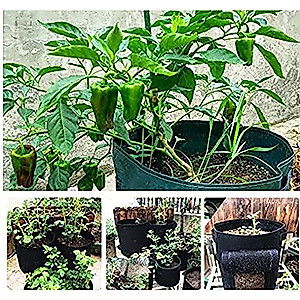 Nicheo 3 Pcs 6.5 Gallon Grow Bag Easy to Harvest Planter Pot with Flap and Handles Garden Planting Grow Bags for Potato Tomato and Other Vegetables Breathable Nonwoven Fabric Cloth