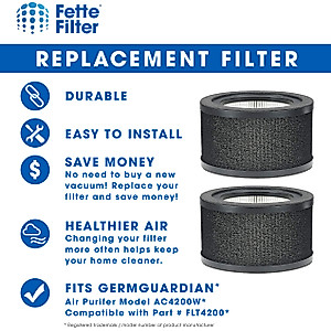 Fette Filter -Pack of 2 Replacement Air Purifier True HEPA Filters with Pre Filter Layer Compatible with Germ Guardian FLT4200 Filter L for GermGuardian Air Purifer Model AC4200W