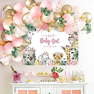 Jungle Safari Baby Shower Backdrop for Girls Wild Animals A Sweet Baby Girl is On Her Way Baby Shower Party Decorations Floral Greenery Photography Party Cake Table Photography Background 5X3Ft