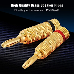 WGGE WG-3333 24k Gold Plated Speaker Banana Plugs-Closed Screw Type (10 Pairs (20 PLUGS))