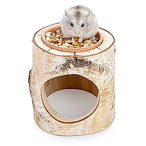 Niteangel Hamster Hideout Tree Trunk Tunnel for Dwarf Syrian Hamsters Gerbils and Small Animals (Tunnel Hideout w/Bowl)