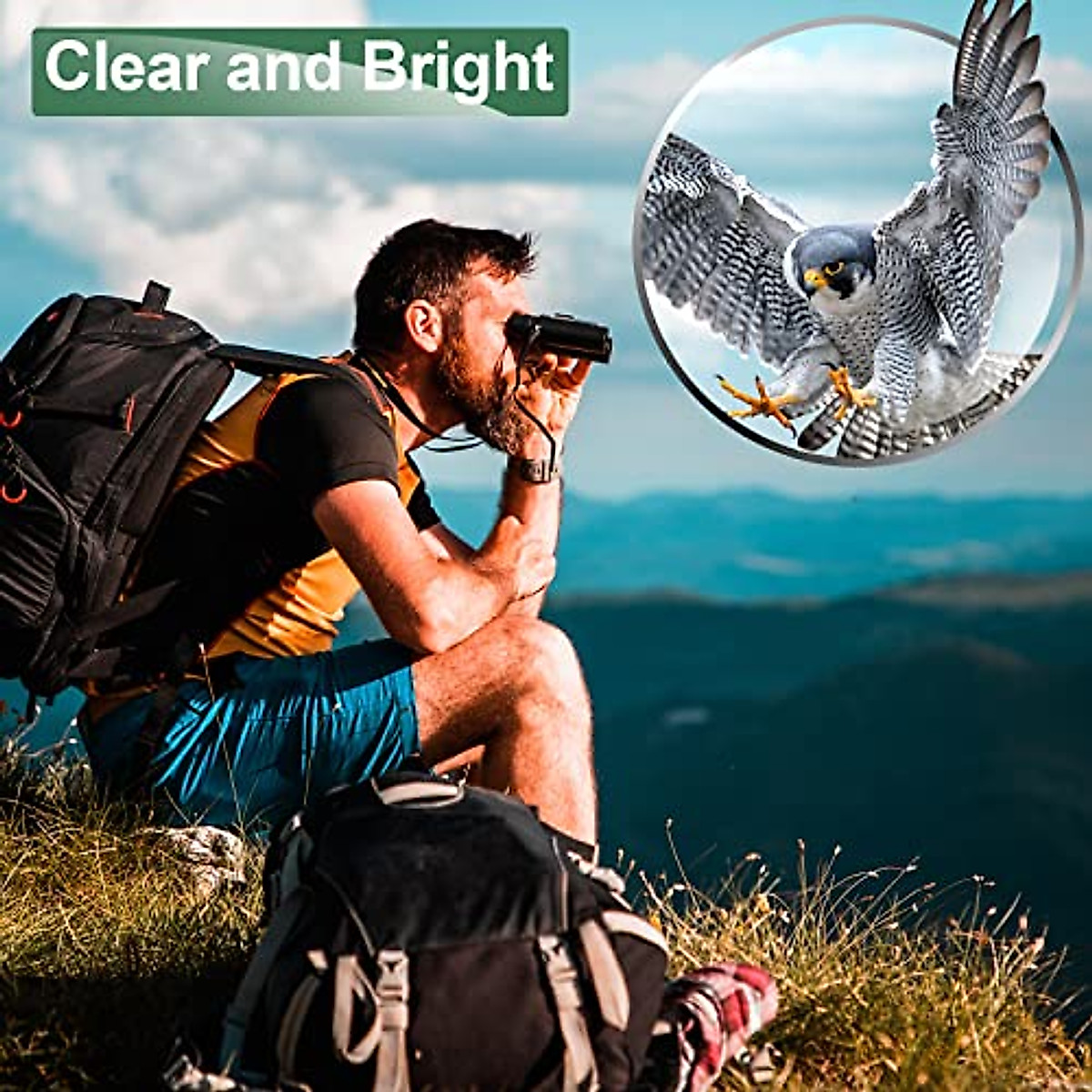 POLDR 8X21 Mini Pocket Binoculars Compact, Small Clear View Binoculars for Adults, Easy Focus Lightweight Portable Binoculars for Bird Watching Theater Opera Travel
