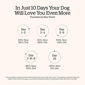 Now Fresh Grain-Free, Dry Dog Food, Small Breed Kibble, Real Meat and Fish, Turkey, Salmon and Duck Senior Recipe, 6 lb Bag