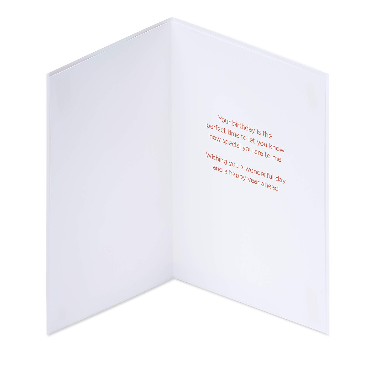 Papyrus Birthday Card (How Special You Are)