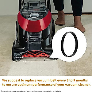 JEDELEOS Replacement Belts for Bissell ProHeat Essential & DeepClean Carpet Cleaner 1694 1697 1698 1699 1799 7920 7950 8852 1877 9585 Series, Replace Part 3100625 EX637 2150628 1601543 (Pack of 2)
