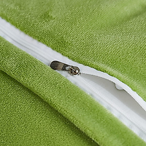 Yaoshuho Plush Fluffy Duvet Cover Queen Size Luxury Ultra Soft Shaggy Duvet Cover Set Faux Fur Comforter Bedding Set(1 Duvet Cover + 2 Pillow Shams), Green