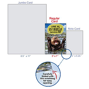 NobleWorks - Funny Happy Birthday Note Card with Envelope (4.63 x 6.75 Inch) - Cute River Otter, Animal Stationery for Kids, Adult - Adorable Congrats Gift for B-day - Otterly Awesome C6574ABDG