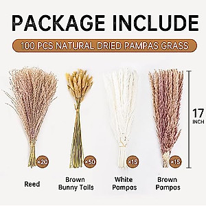 Der Rose 17 Inches Dried Pampas Grass for Boho Bathroom Bedroom Kitchen Living Room Office Home Room Fall Decor Aesthetic