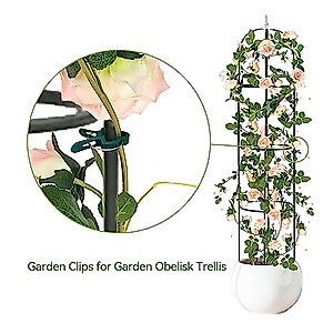 Heyfurni Metal Obelisk Trellis & Plant Clips,Garden Trellis for Climbing Plants,Plant Support for Cucumbers,Rose,Tomato,Vines,Vegetables Trellis Cage Indoor & Outdoor,40pcs Garden Clips