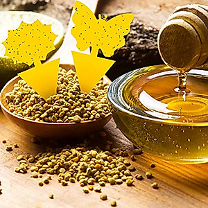 Foofol 18PCS Fruit Fly Sticky Traps Fungus Gnat Traps Insect Trap for Plants Kitchen Indoor Outdoor White Flies Mosquitos Fungus Gnats Flying Insects Houseplant Gift.