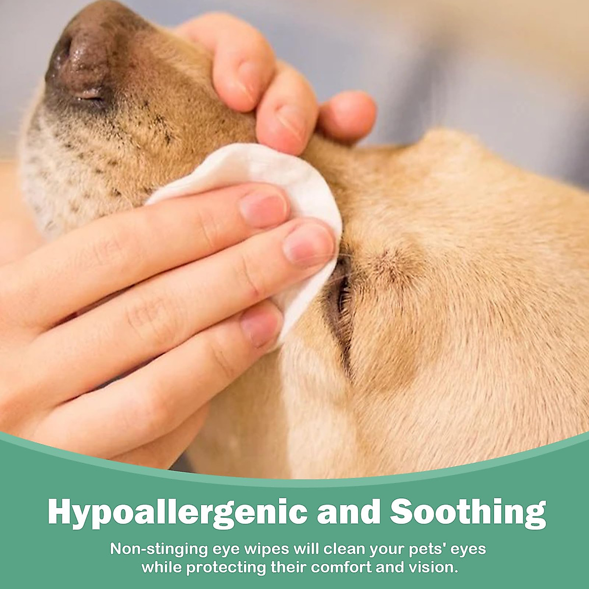 CuteBone Pet Eye Wipes 120 Count - Gentle and Soothing Eye Cleaning Wipes for Dogs and Cats, Removes Dirt, Tear Stains, and Debris, Prevents Eye Infections, Natural Ingredients, Safe and Easy to Use