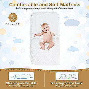 BABY JOY Bassinet, 2 in 1 Rocking Bassinet for Baby w/Detachable Curtain Cloth, Mattress, Breathable Mesh, Adjustable Height, Quick Folding Crib w/Travel Bag for Newborn Infants, Portable Bassinet