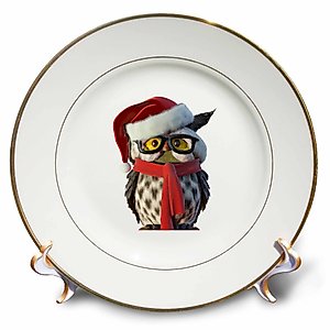 3dRose 8 inch Porcelain Plate - Christmas Owl Wearing Santa Costume and Red Scarf Vector Vector Art - Festive Christmas Owl