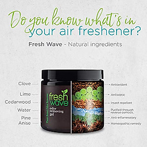 Fresh Wave Lavender Odor Removing Gel, 15 oz. | Odor Absorbers for Home | Safer Odor Relief | Natural Plant-Based Odor Eliminator | Every 15 oz. lasts 30-60 Days | For Cooking, Trash & Pets