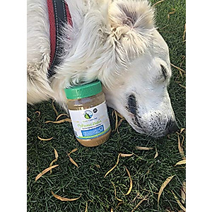 Green Coast Pet Pawnut Butter