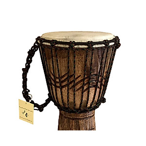 JIVE Djembe Drum African Bongo Congo Wood Drum Deep Carved Solid Mahogany Goat Skin Professional Quality 16" High (Dolphin)