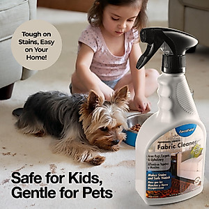 ForceField Fabric Cleaner - Professional Strength - Deeply Penetrates Water Safe Fabric & Fibers of Upholstery, Clothing, Rugs & Carpeting 22oz