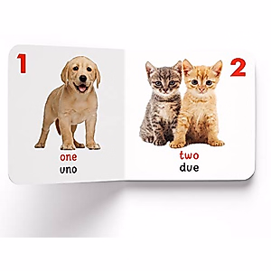 My First English-Italiano Learning Library (la mia prima biblioteca delle parole Inglese-Italiano): Boxset of 10 English - Italian Board Books (English and Italian Edition)