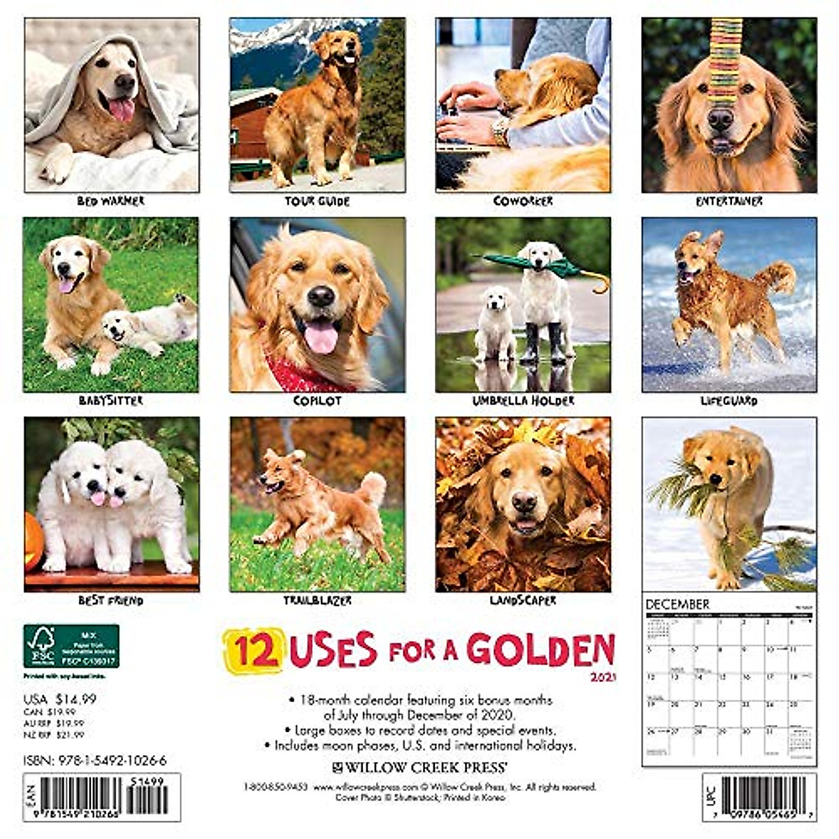 12 Uses for a Golden 2021 Wall Calendar (Dog Breed Calendar)