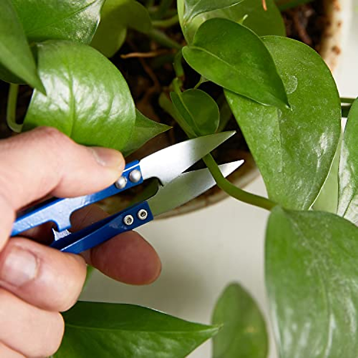 4 Inch Bonsai Pruning Scissors, Bud And Leaves Trimmer Yarn Thread Cutter Snips Trimming Supplies, Gardening Clippers Flower, thread snips, U-shaped sewing scissors, Sewing Scissors (3 Pcs)