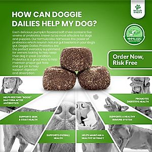 Doggie Dailies Bundle - Probiotics & Bladder Support Soft Chews
