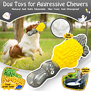Jeefome Dog Chew Toys: Squeaky Dog Toys- Dog Toys for Medium Dogs to Keep Them Busy (Grey)