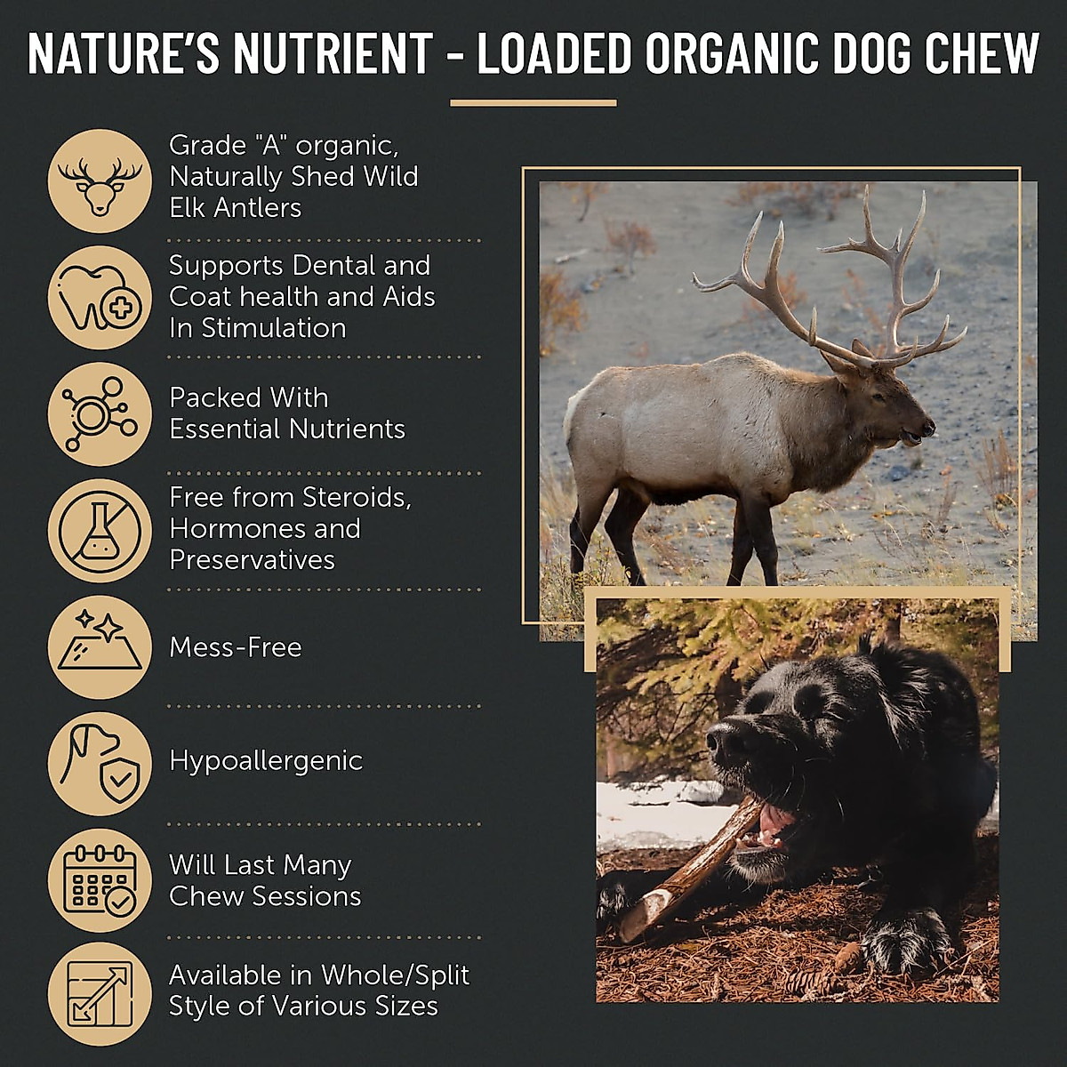 The Antler Box Premium Elk Antler Dog Chews (1 Piece Box) (Split, X-Large (6-8Oz)