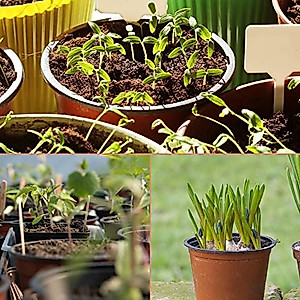 KINGLAKE 100 Pcs 4" Plastic Plants Nursery Pot/Pots Seedlings Flower Plant Container Seed Starting Pots