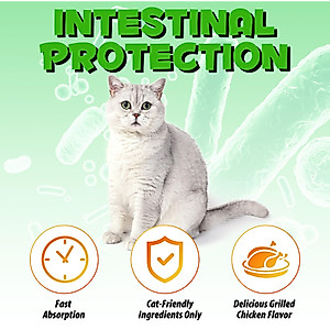 Cat Constipation Relief, Cat Constipation Liquid Drops Supports Cats Laxative Relief - Pet Herbal Supplements for Cats, Cat Stool Softener Cat Laxative Constipation Relief - Chicken Flavour / 2 Fl Oz