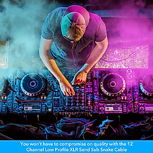 Seismic Audio Speakers 12 Channel Low Profile XLR Send Sub Snake Cable, XLR Splitter Cable, 25 Feet