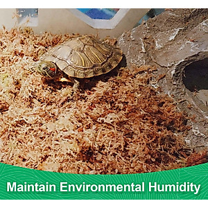 Mostopiaryart Sphagnum Moss Perfect for Plant Propagation, Extremely Strong Water Absorption Ability, Help with Maintain Humidity(3.5OZ)