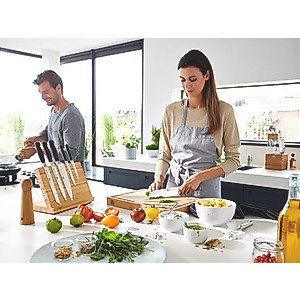 ZWILLING J.A. Henckels Four Star 4-pc Steak Knife Set