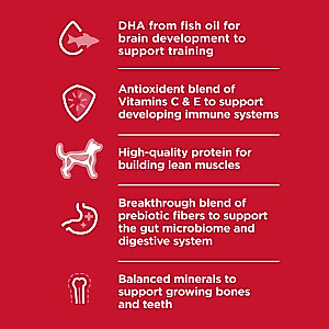 Hill's Science Diet Puppy, Puppy Premium Nutrition, Dry Dog Food, Chicken & Brown Rice, 15.5 lb Bag