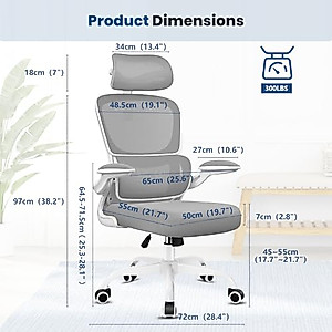 Razzor Ergonomic Office Chair, High Back Mesh Desk Chair with Lumbar Support and Adjustable Headrest, Computer Gaming Chair with Flip-up Armrests, Executive Swivel Chair for Home Office (LightGray)