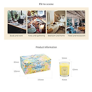 6 Pack Aromatherapy Scented Candles Gifts Set for Women,Natural Soy Wax Lavender Candles,33 oz 100 Hour Long Lasting Candles for Home,Yoga,Stress Relief