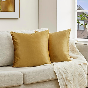 GIGIZAZA Gold Velvet Decorative Throw Pillow Covers,18x18 Pillow Covers for Couch Sofa Bed 2 Pack Soft Cushion Covers